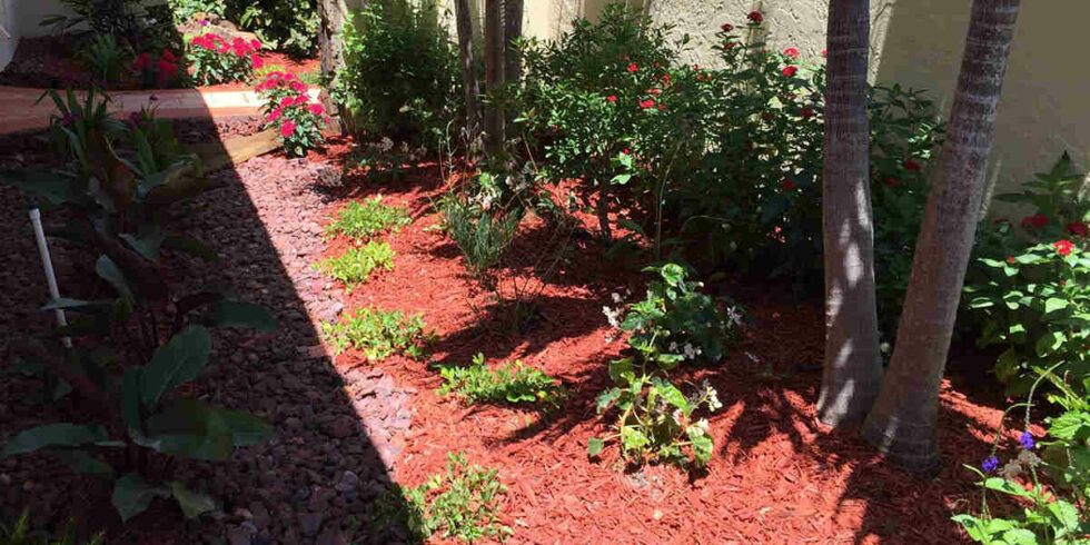 How to Mulch Around Trees - Falls Church Homeowner's Guide
